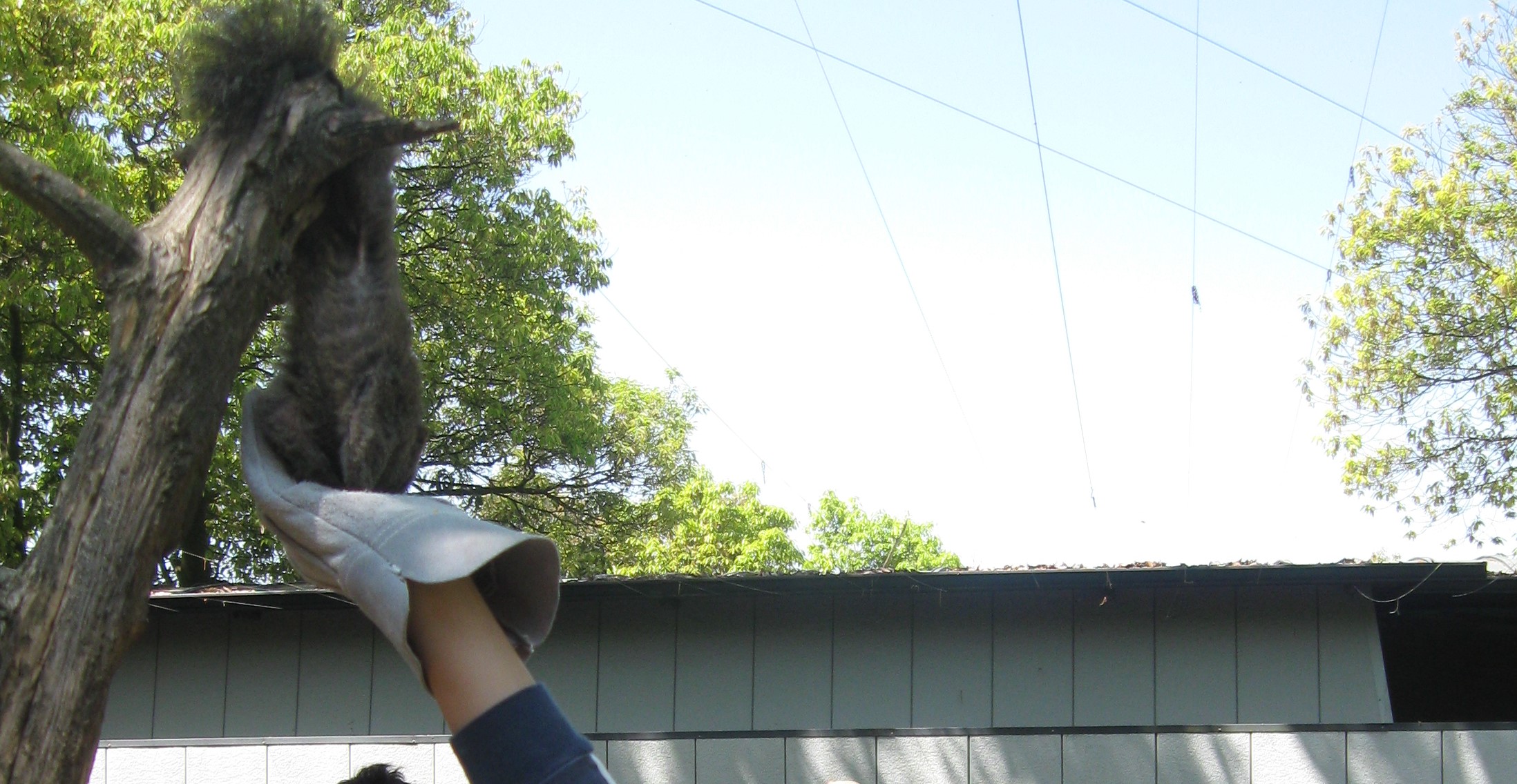 IMG_1707 | お散歩パンダ.com